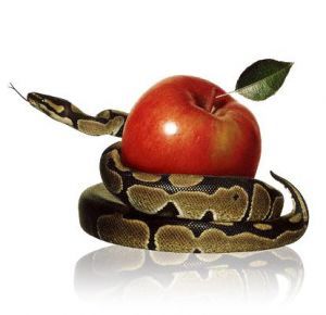 Custe o que custar - Guiame