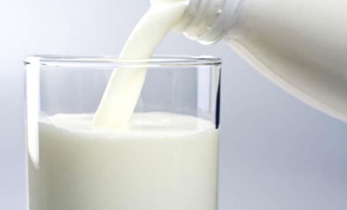 Confira as diferenças entre os tipos de leite e saiba qual o melhor ...
