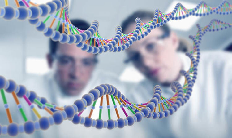 Descoberta de DNA revela que todos os seres humanos são descendentes de ...