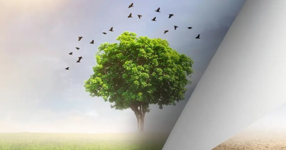 Como ter uma vida próspera - Guiame